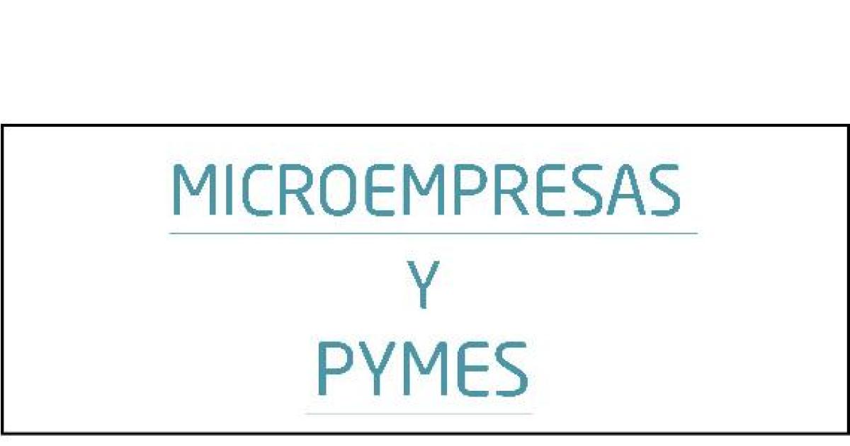 MICROEMPRESAS Y PYMES