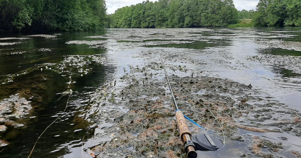 El río Tormes cambia su cara