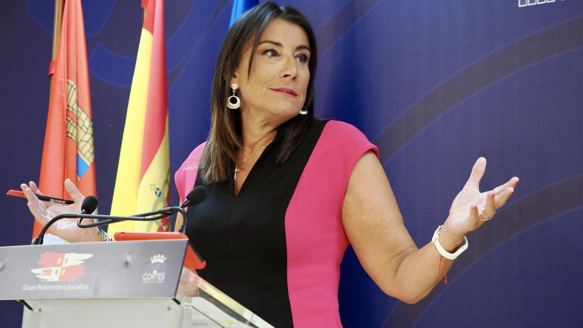 Ana Sánchez se lía y se hace eco de una cuenta parodia en X de Pedro ...