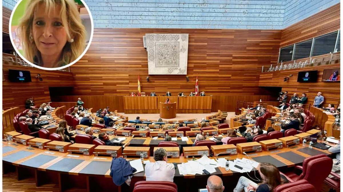 María Isabel Pérez, nueva procuradora de Vox en Castilla y León tras el ...