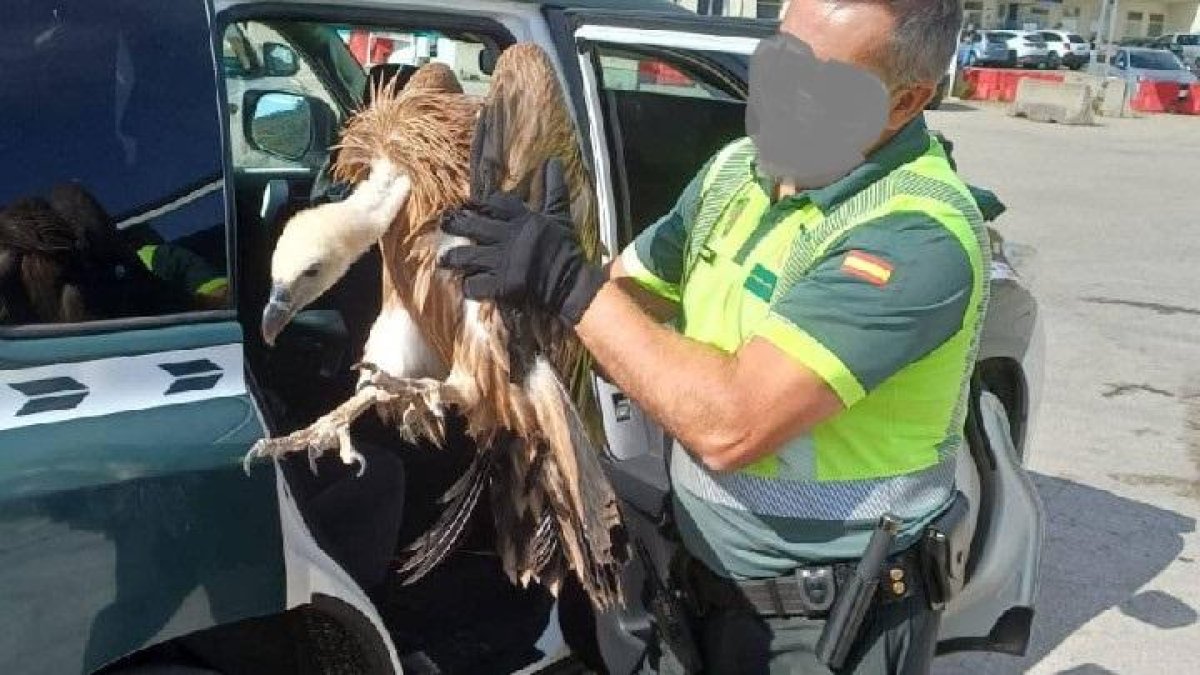 Baby alien x jade teen when asked for the recommendation