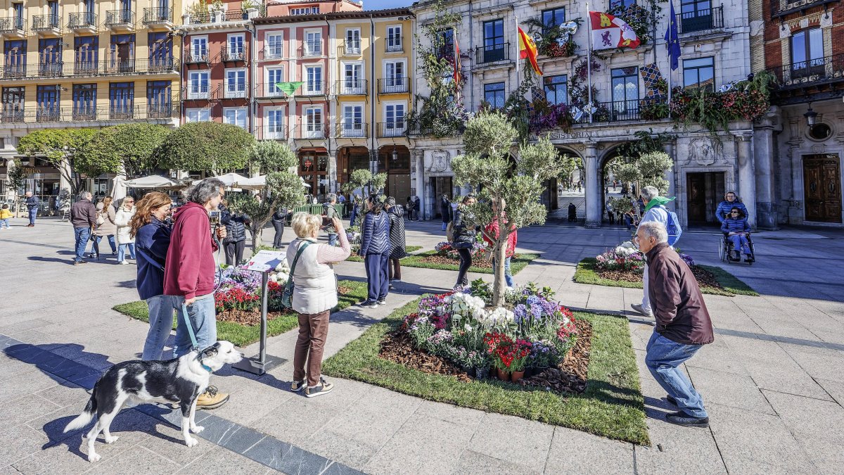 Las flores del mundo transforman Burgos
