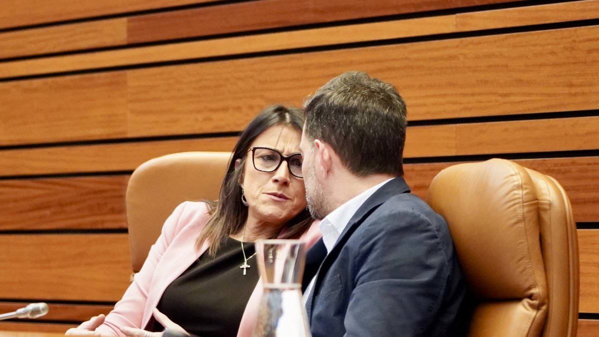 Ana Sánchez comunica a Pollán (VOX) que renunciará a la Mesa de las ...