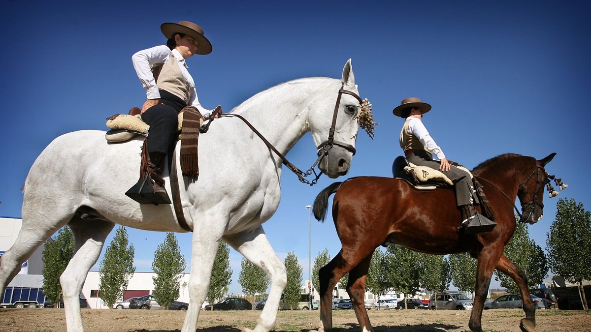 La doma vaquera de Castilla y León ya es Bien de Interés Cultural