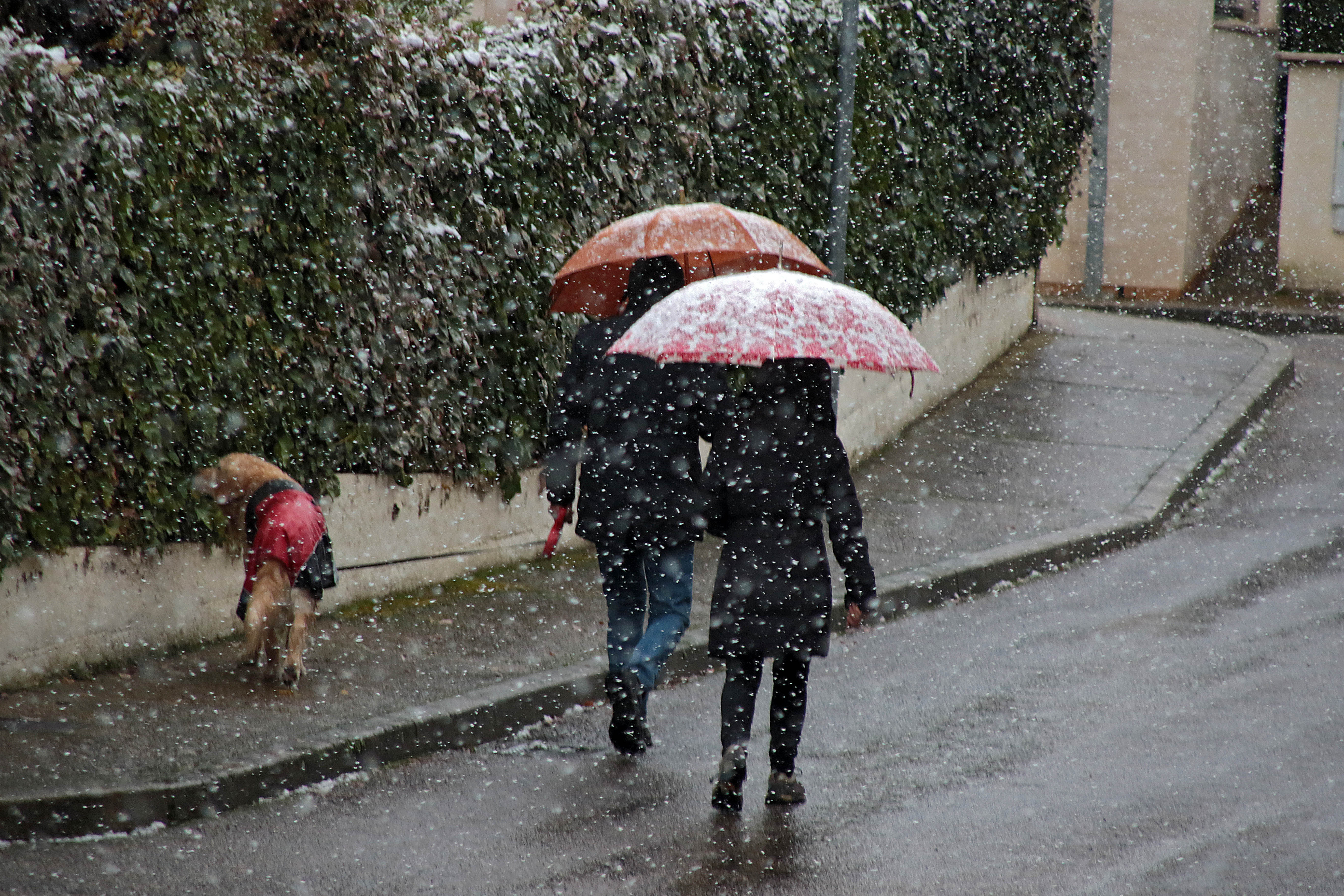 La nieve y el frío marcan el fin de las fiestas navideñas en Castilla y ...
