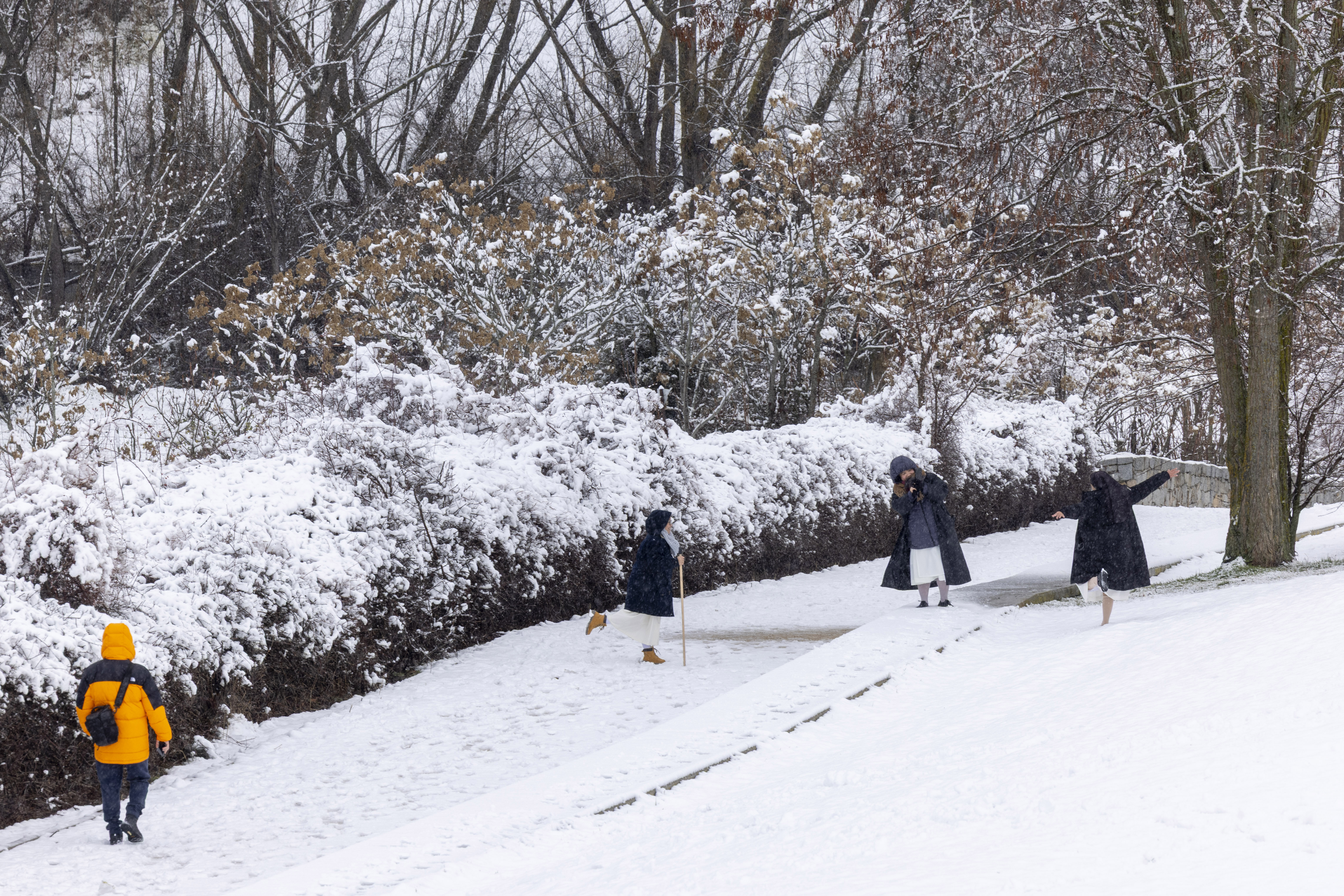 La borrasca Ingrid llega con nieve a Castilla y León: la Aemet activa ...
